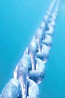Insist on Australian Made Chain - Kito Crosby Australia